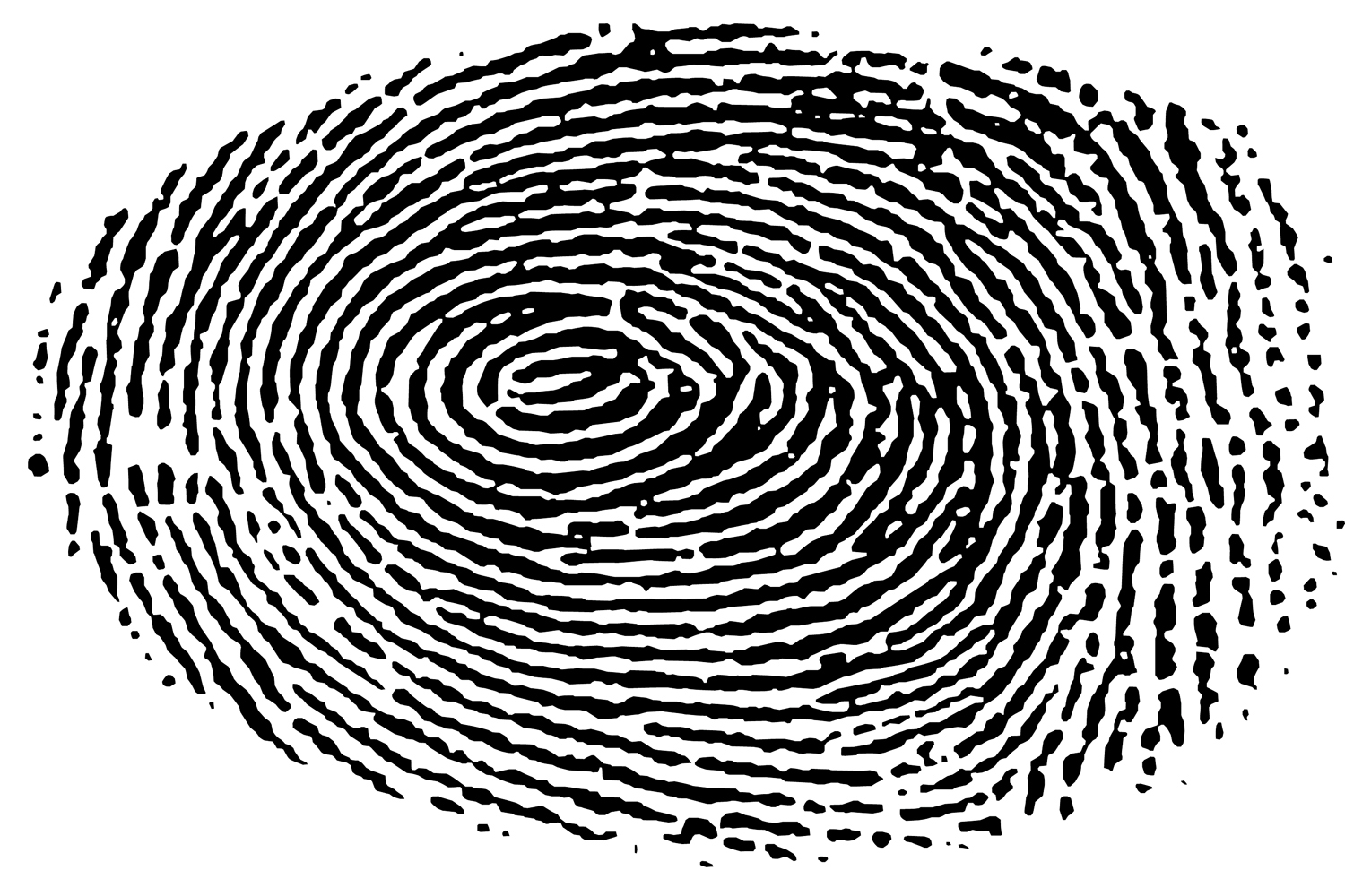 Our Fingerprints Can Tell Us A Lot About Ourselves What Kind Of