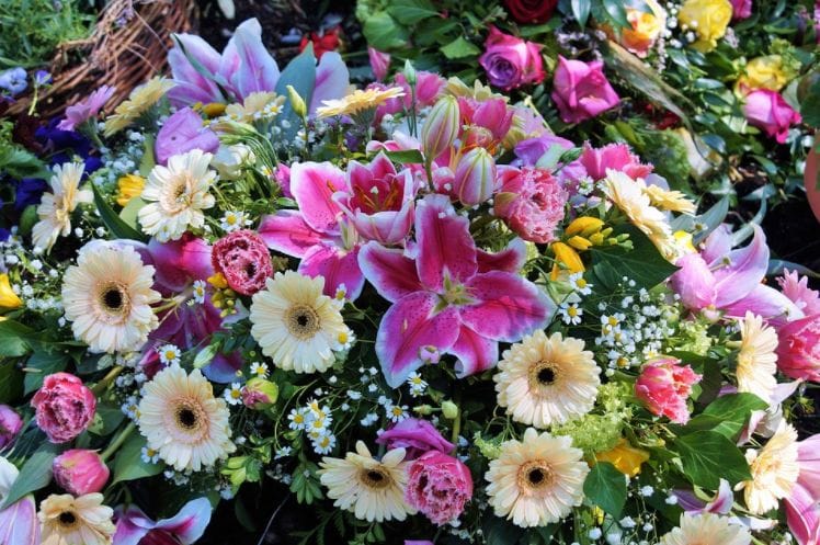 This Is What Your Favourite Flower Says About Your Personality