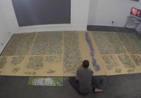 Wow! This man spends 9 months working on a giant jigsaw puzzle and the ...