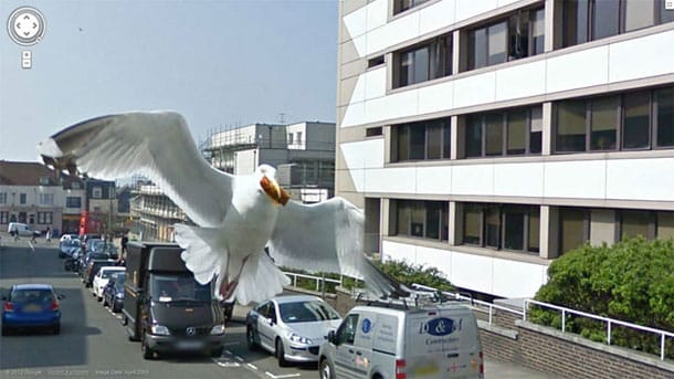 These are the 12 most bizarre photos on Google Street View